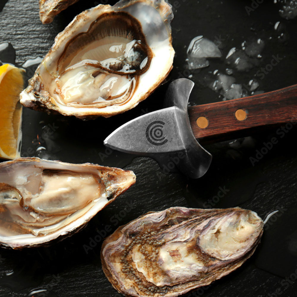 Shop - Cuda Co. Seafood House